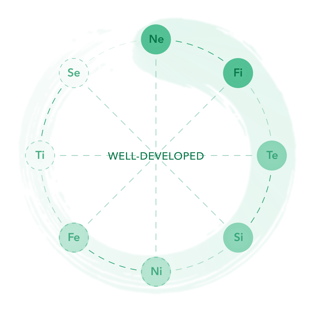 ENFP Personality Type Deep Analysis with Cognitive Functions