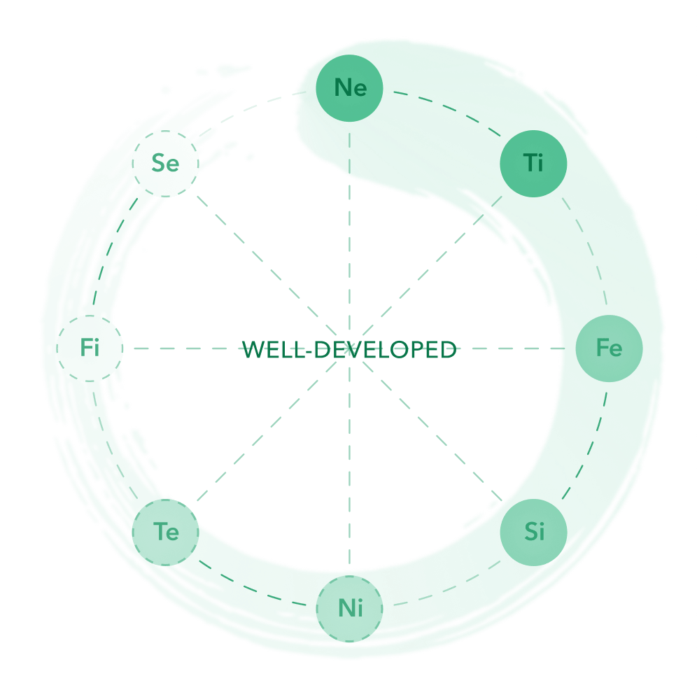 ENTP Personality Type Deep Analysis with Cognitive Functions