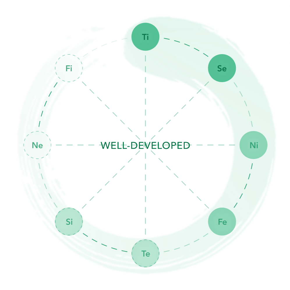 ISTP Personality Type Deep Analysis with Cognitive Functions